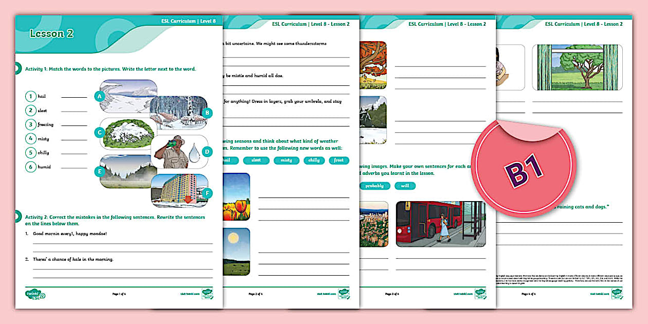 ESL Curriculum Level 8, Lesson 2 Worksheet (teacher made)