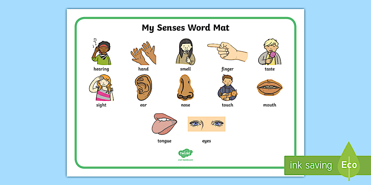 Cursive My Senses KS1 Body Parts Word Mat (teacher made)