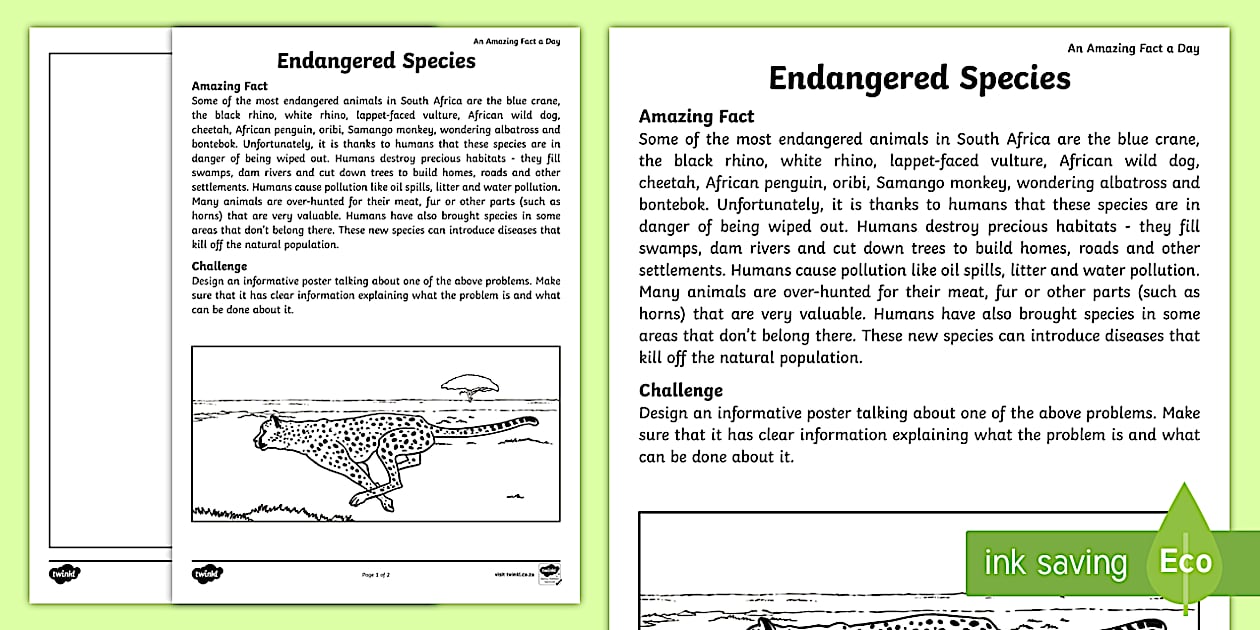 Endangered Animals in South Africa - Teacher-Made Worksheet