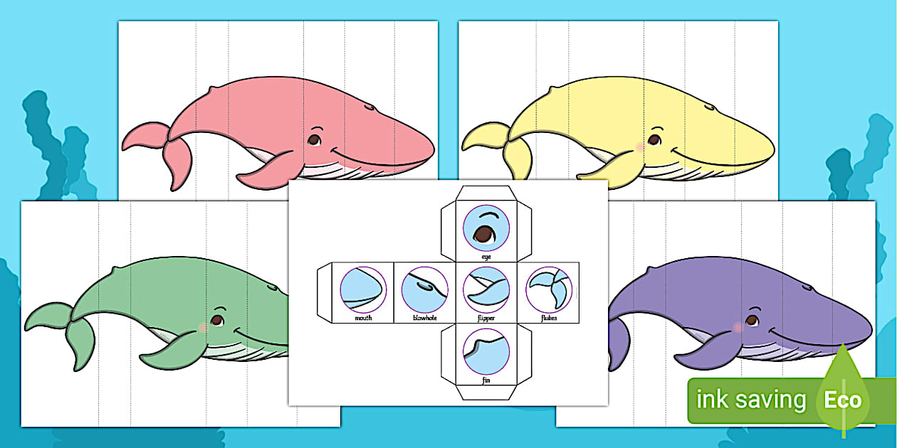 Whale Roll and Build Game (teacher made) - Twinkl