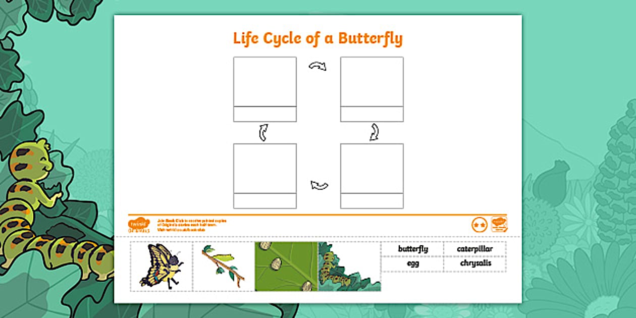 Editable Life Cycle of a Butterfly Worksheets - Twinkl