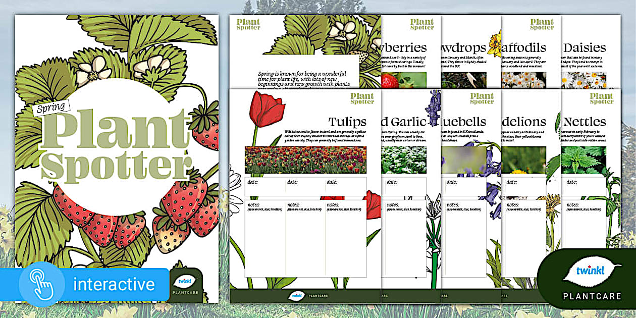 Spring Plant Spotter Booklet, Foraging Tracker, Wild flowers