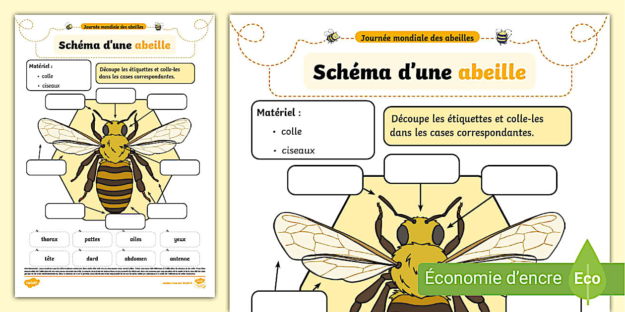 Schéma à compléter d'une abeille (creat de profesori)