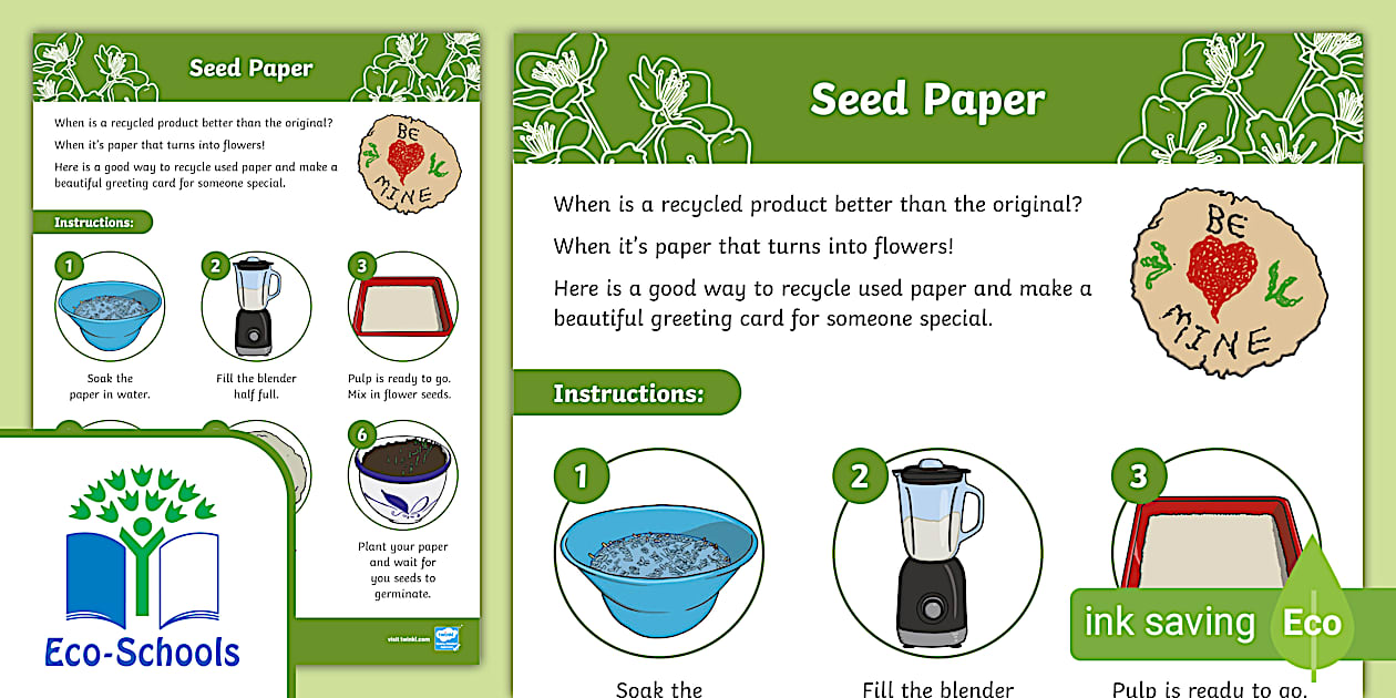 FREE! - Eco-Schools NI: Foundation Stage Seed Paper Craft Activity
