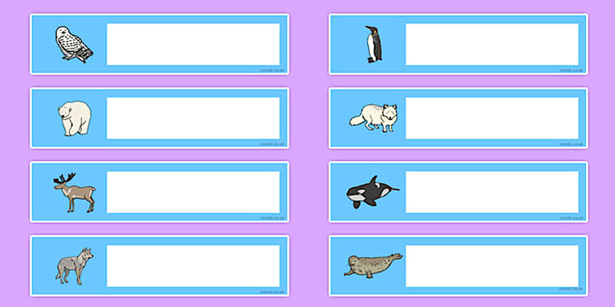 Polar Animals Gratnells Tray Labels