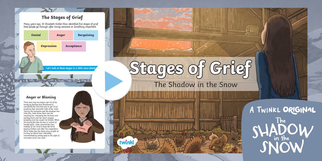 Stages of Grief PowerPoint: The Shadow in the Snow - Twinkl