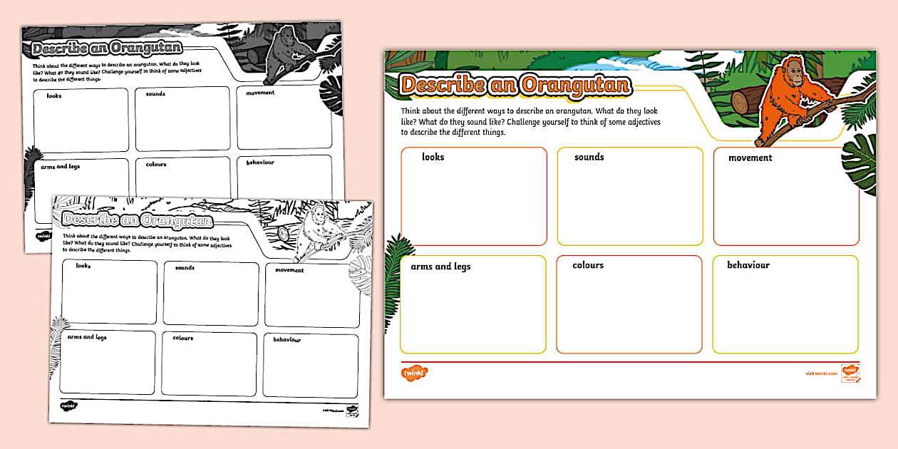 Orangutan Adjectives Worksheet (teacher made) - Twinkl