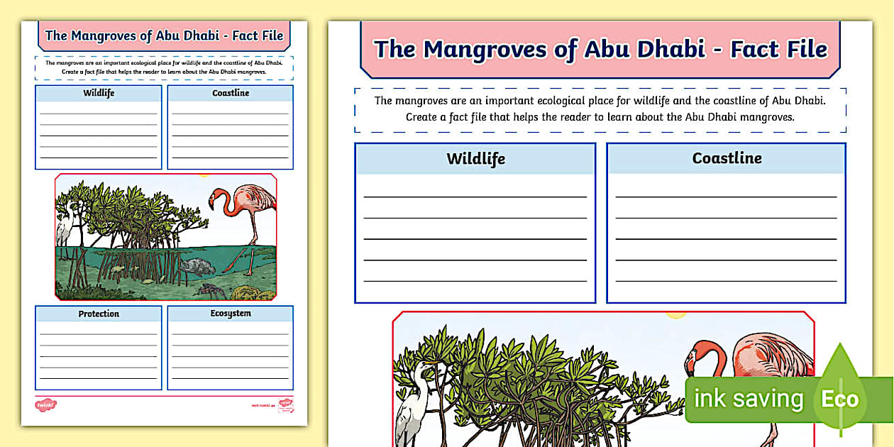 Mangroves Abu Dhabi Fact File Writing Activity - Twinkl