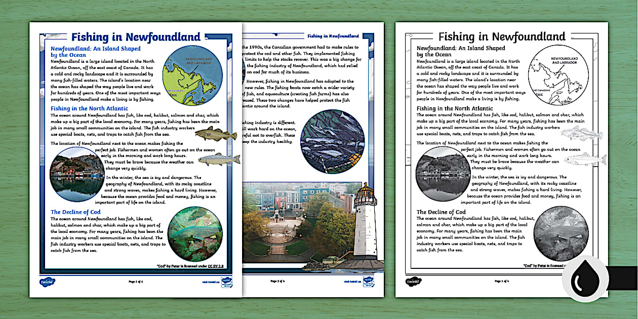 Fishing in Newfoundland - Reading Comprehension - Twinkl