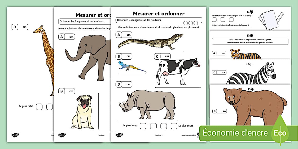 Mesurer et ordonner la longueur et la hauteur (teacher made)