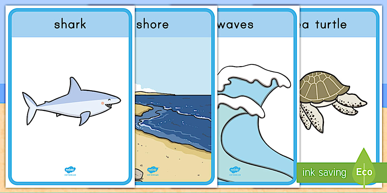 Beach Habitat Posters | Classroom Resource | Twinkl USA