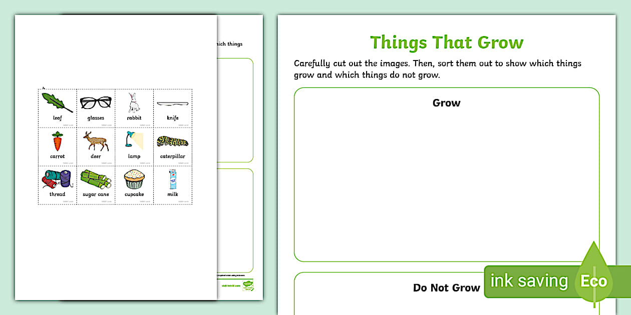 Things That Grow Sorting Activity (Teacher-Made) - Twinkl