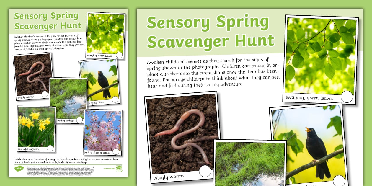 Sensory Spring Scavenger Hunt | Twinkl (teacher made)