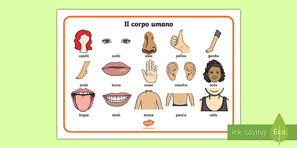 Editable Parts of the Body Word Mat Italian - Twinkl