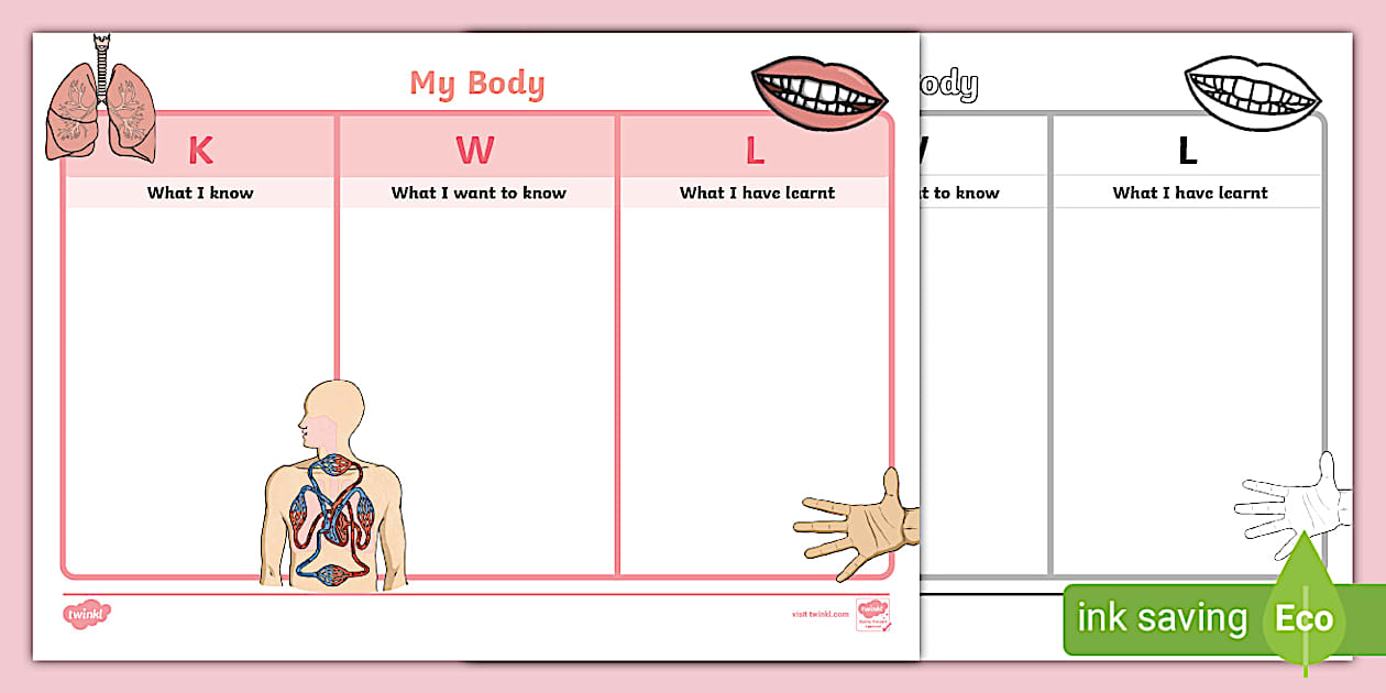 Editable My Body Topic KWL Grid (teacher made) - Twinkl