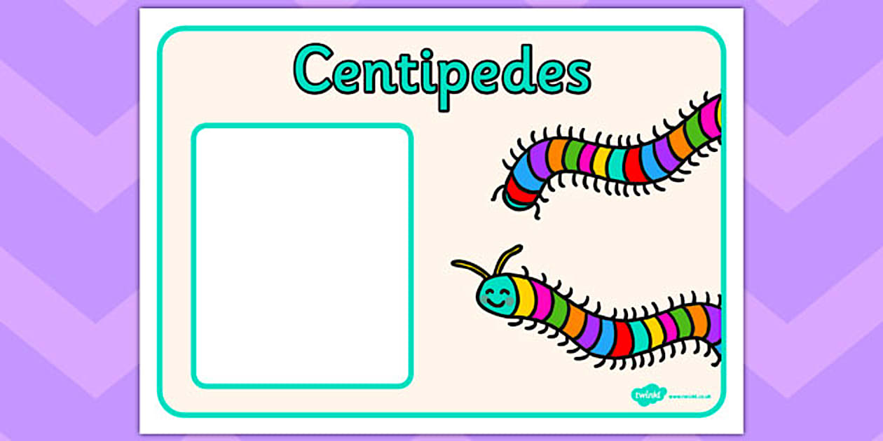 Black and White Centipedes Group Signs (professor feito)