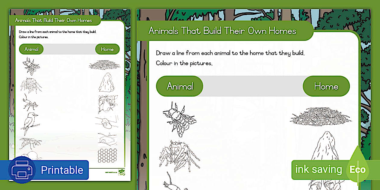 Animals that Build their own Homes - Activity Sheet - Twinkl