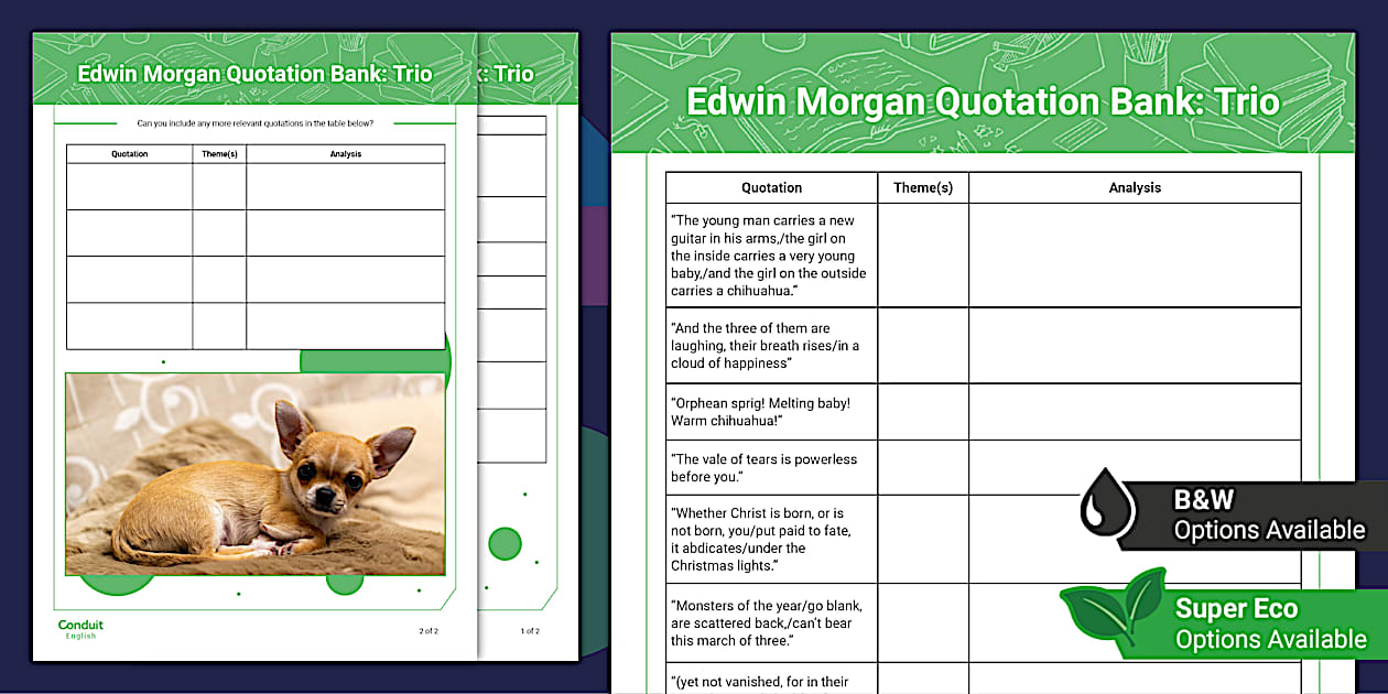 Edwin Morgan Quotation Bank: Trio (teacher made) - Twinkl