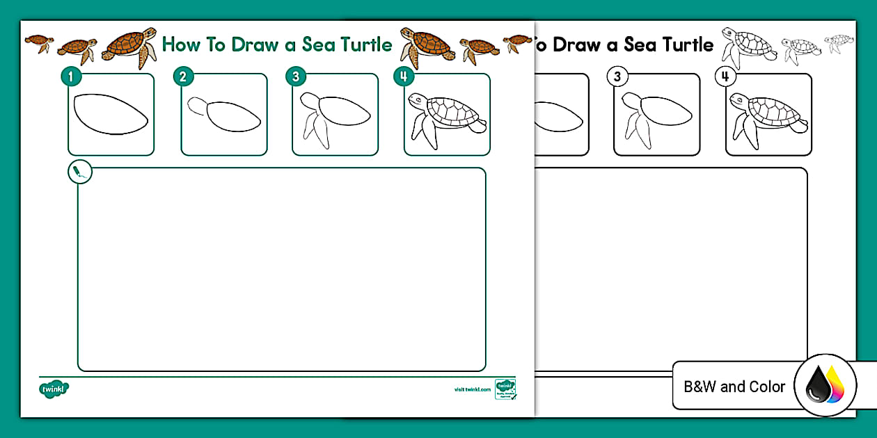 How To Draw a Sea Turtle Art Worksheet (teacher made)