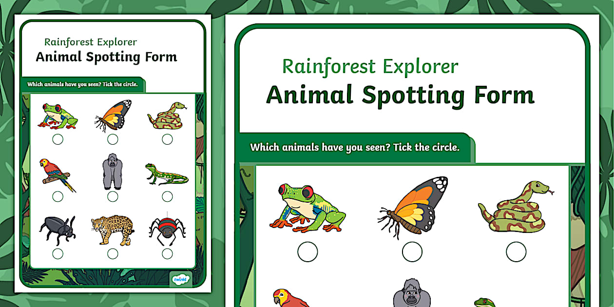 Rainforest Explorer Role Play Animal Spotting Form - Twinkl