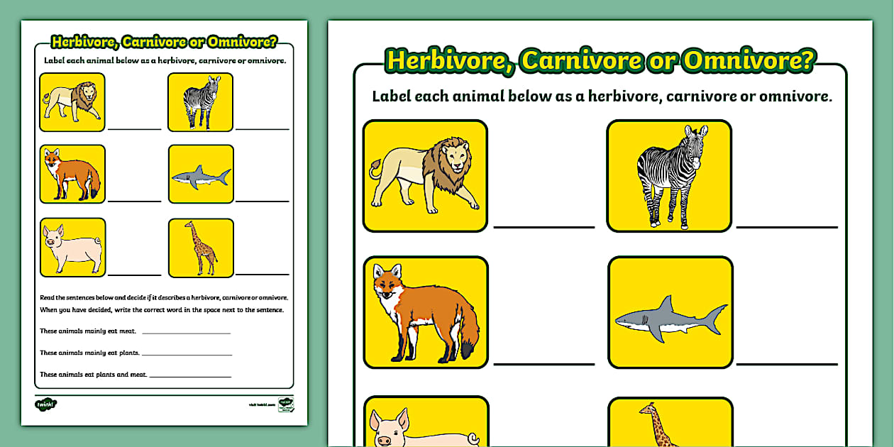 Herbivore, Carnivore or Omnivore Activity Sheet - Twinkl
