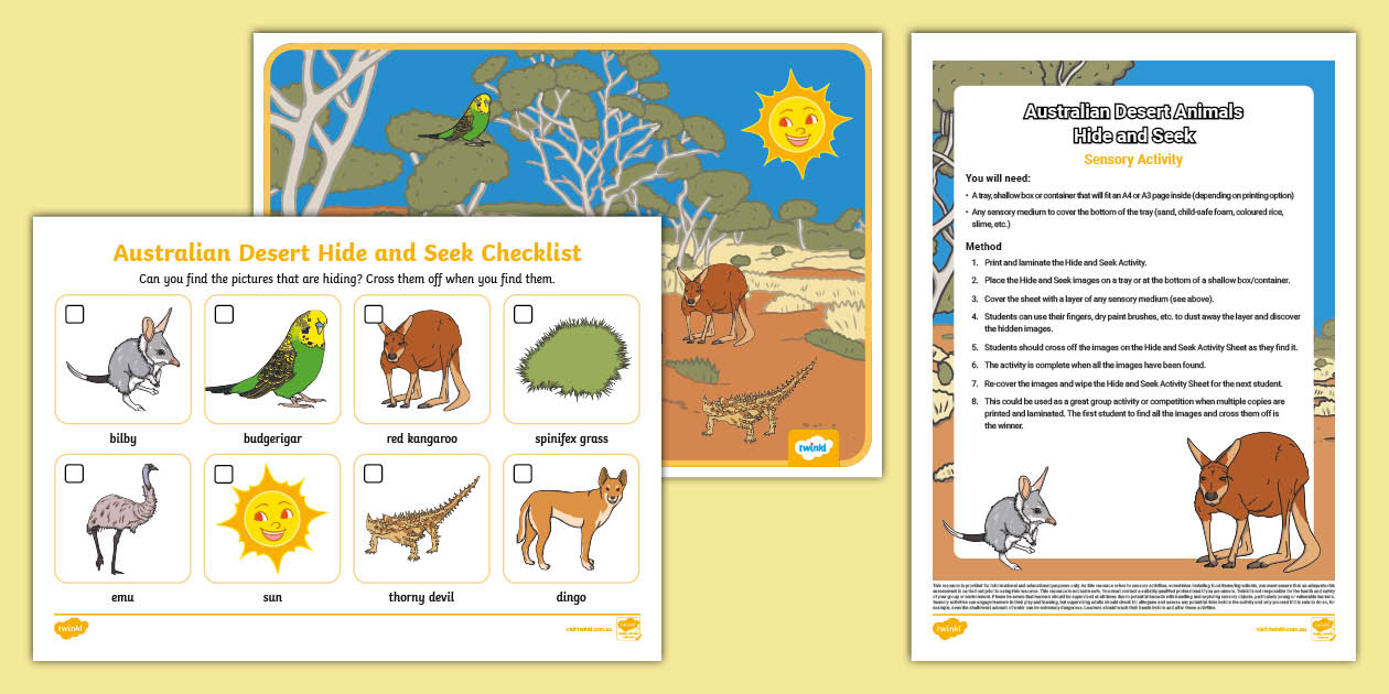 Australian Desert 'Hide and Seek' Sensory Activity