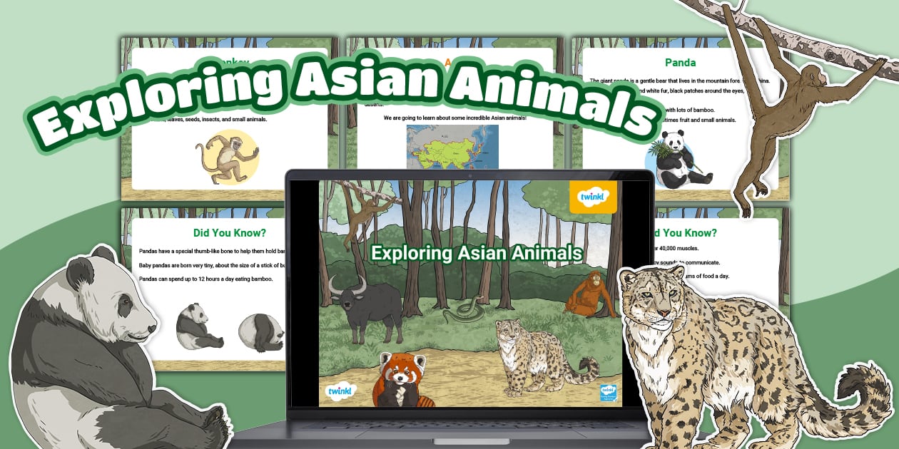 Singapore Exploring Asian Animals PowerPoint | Animal Facts for Kids