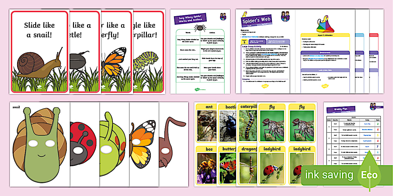 Phonics Level 1 Week 22 - Minibeasts (teacher made) - Twinkl