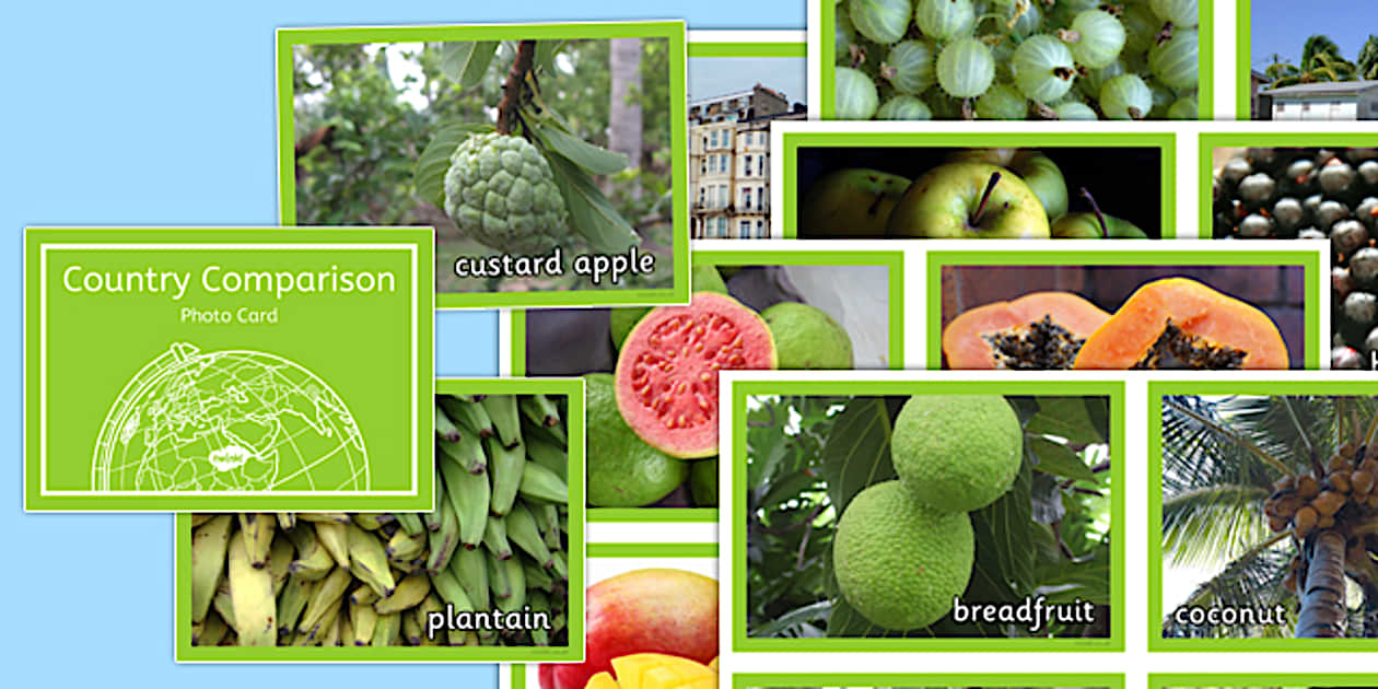 Dyslexic Comparing the Caribbean and UK Photo Sorting Cards