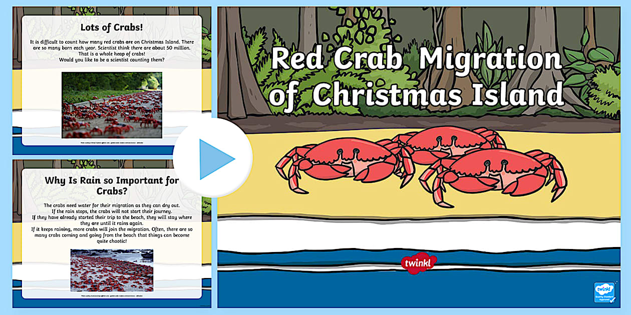 Christmas Island Crab Migration F-2 PowerPoint - Twinkl