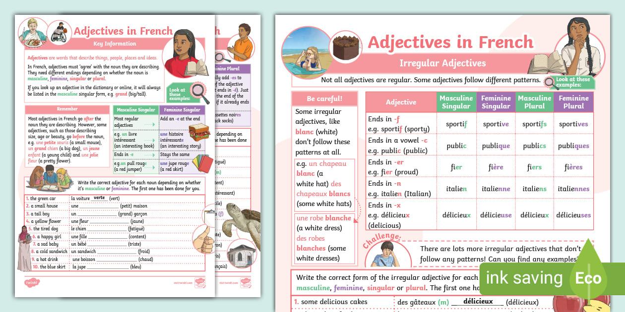 👉 French: Adjectives Activity Sheet