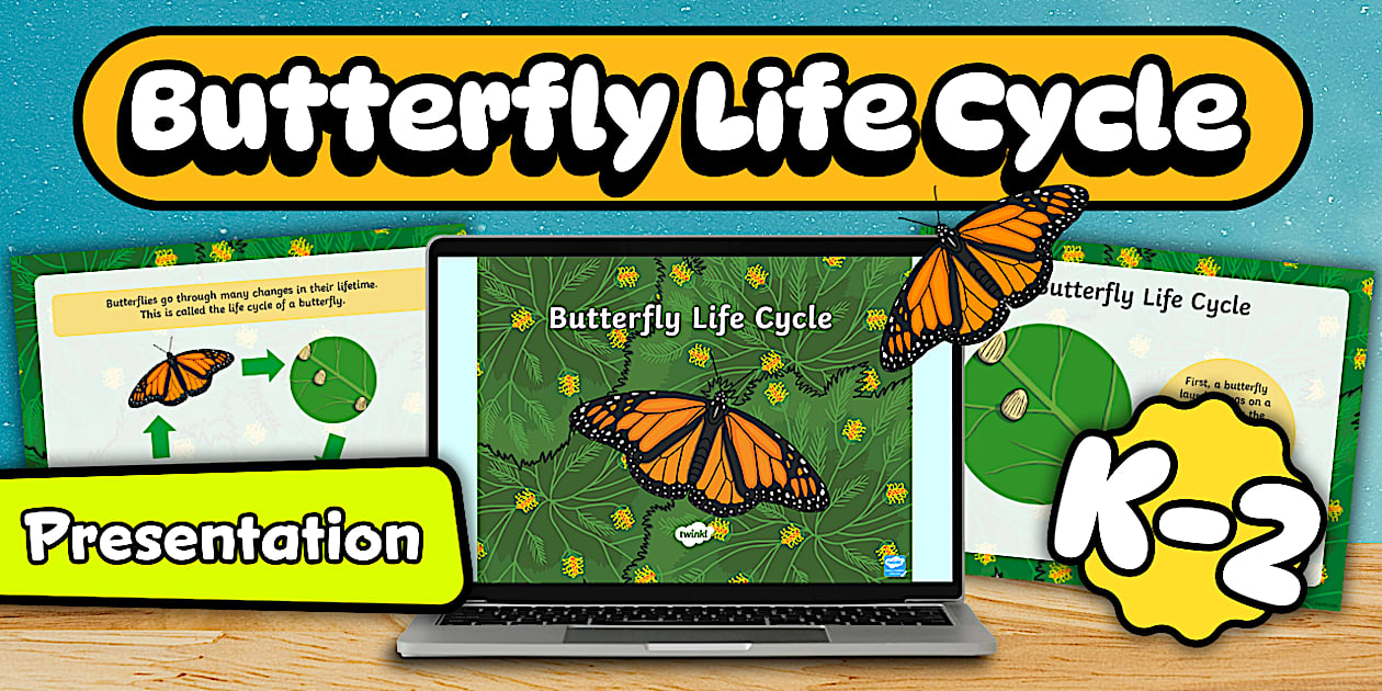 Life Cycle of a Butterfly PowerPoint | Biology | Twinkl USA