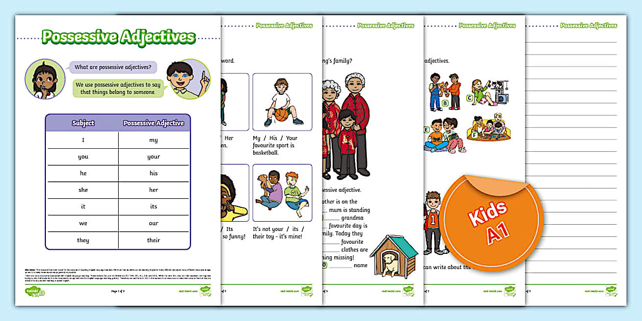ESL Possessive Adjectives Worksheet [Kids, A1] - Twinkl