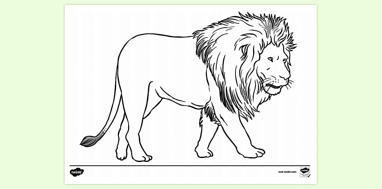Lion Colouring Sheet | Colouring Sheets (teacher made)