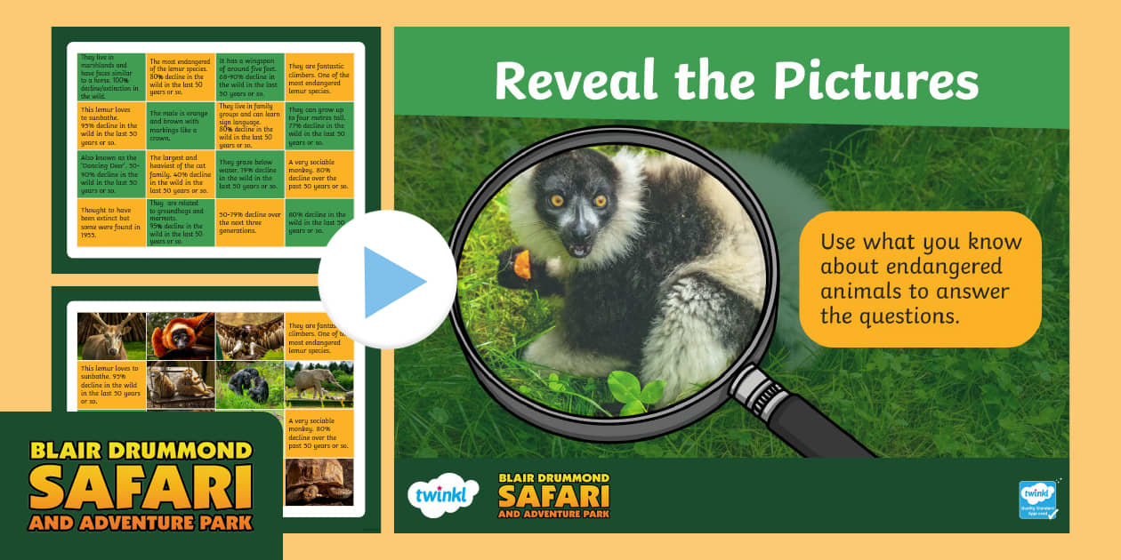 FREE! - Blair Drummond - Endangered Species PowerPoint Activity