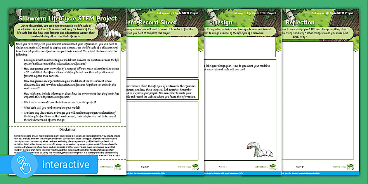 Silkworm Life Cycle STEM Project (teacher made) - Twinkl