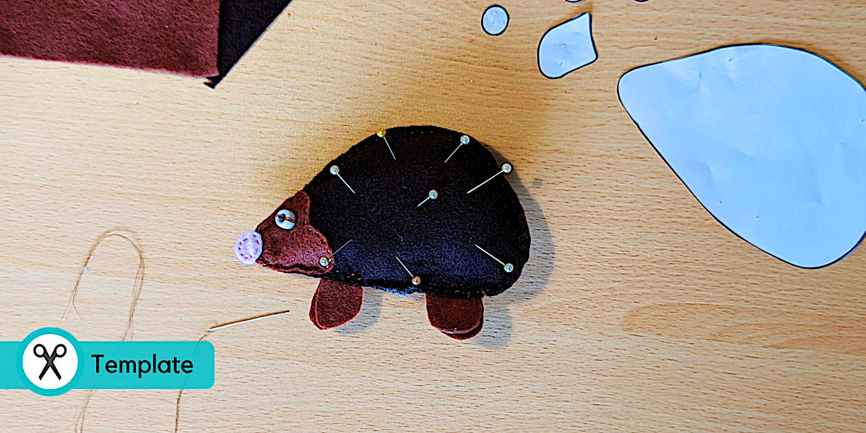 Hedgehog Pin Cushion - Autumn Craft | Twinkl Resources