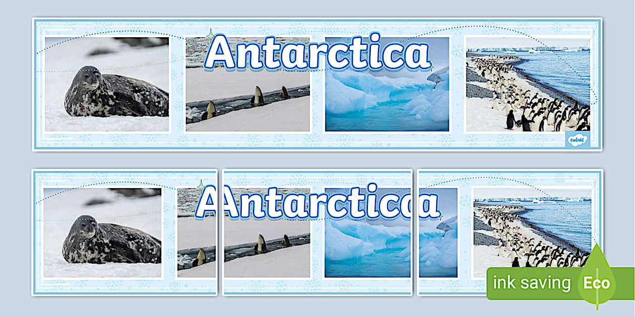 Antarctica KS2 Photo Display Banner (Teacher-Made) - Twinkl