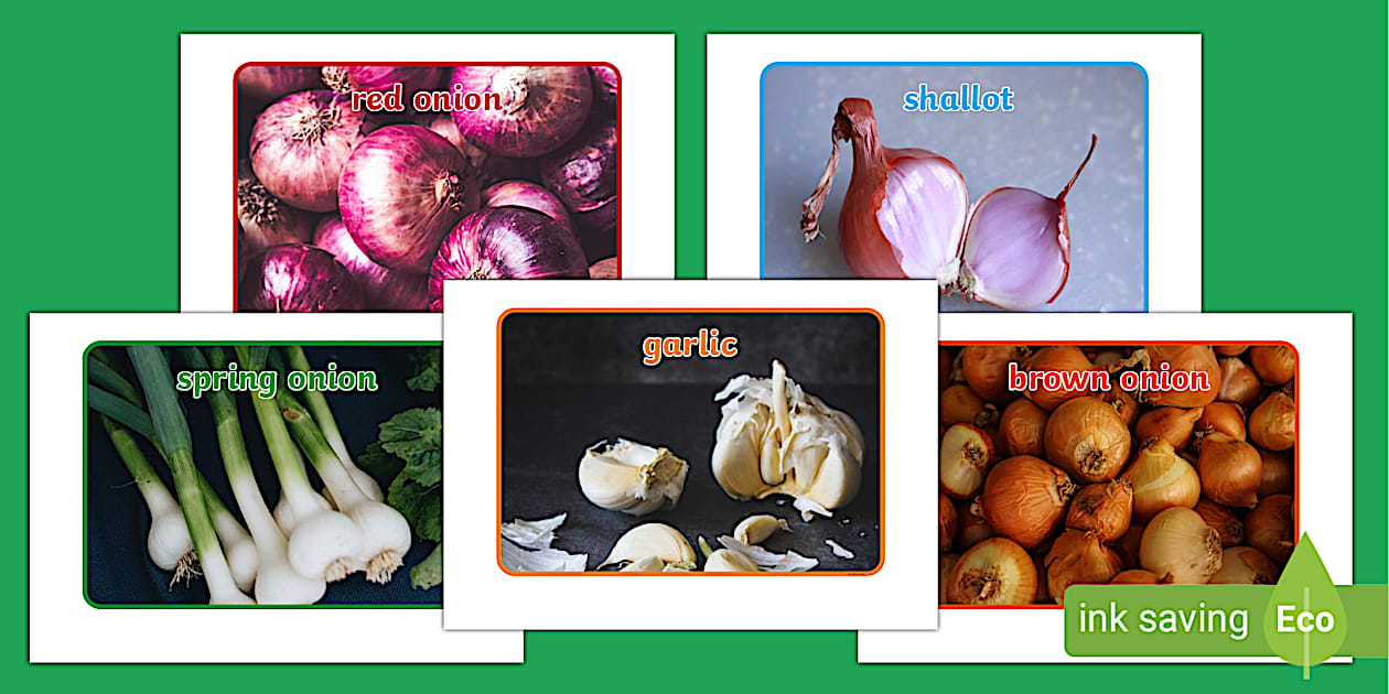 Bulb Vegetables Photo Pack (teacher made) - Twinkl
