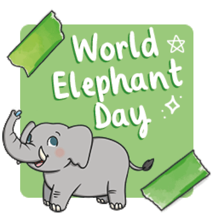 World Elephant Day | Why do we need to get involved?