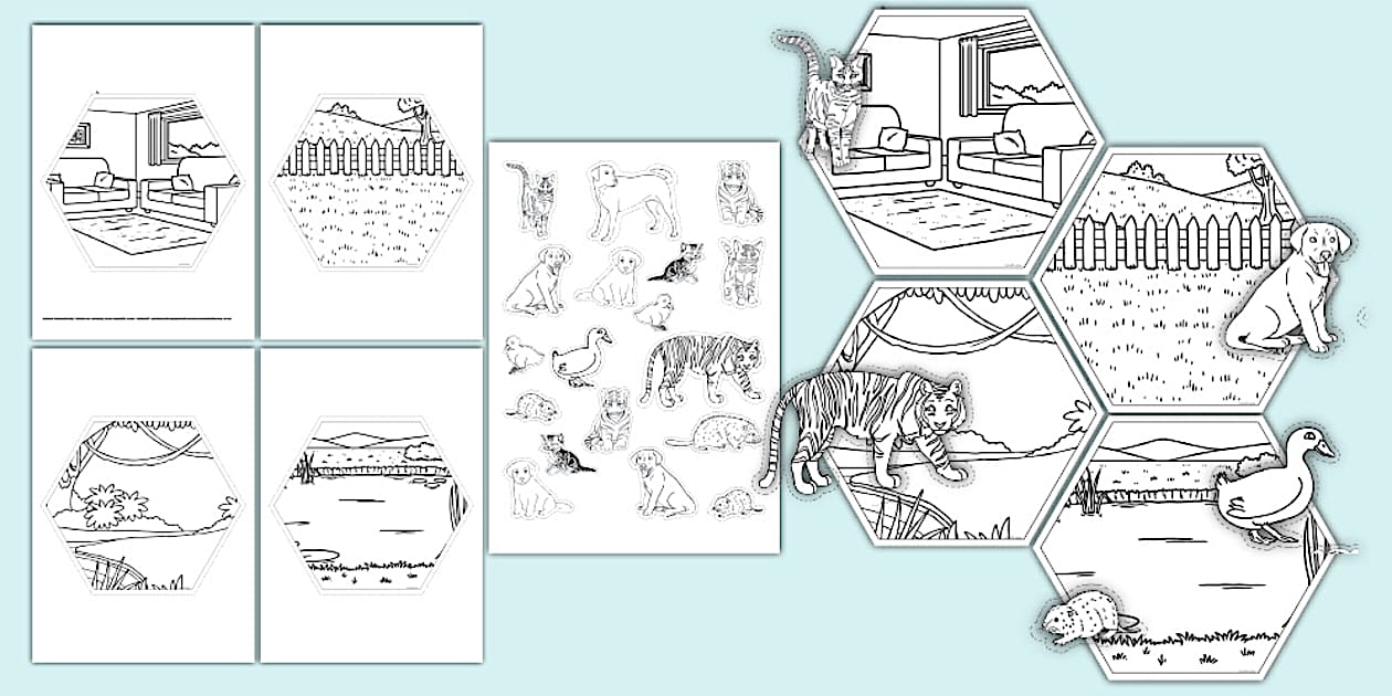 * NEW * Animals and Their Babies Hexagon Display Colouring Activity
