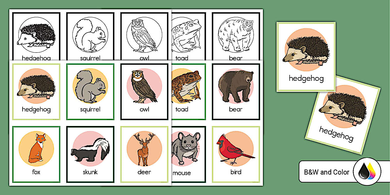 Woodland Animal Matching Game for Kids | Twinkl USA - Twinkl