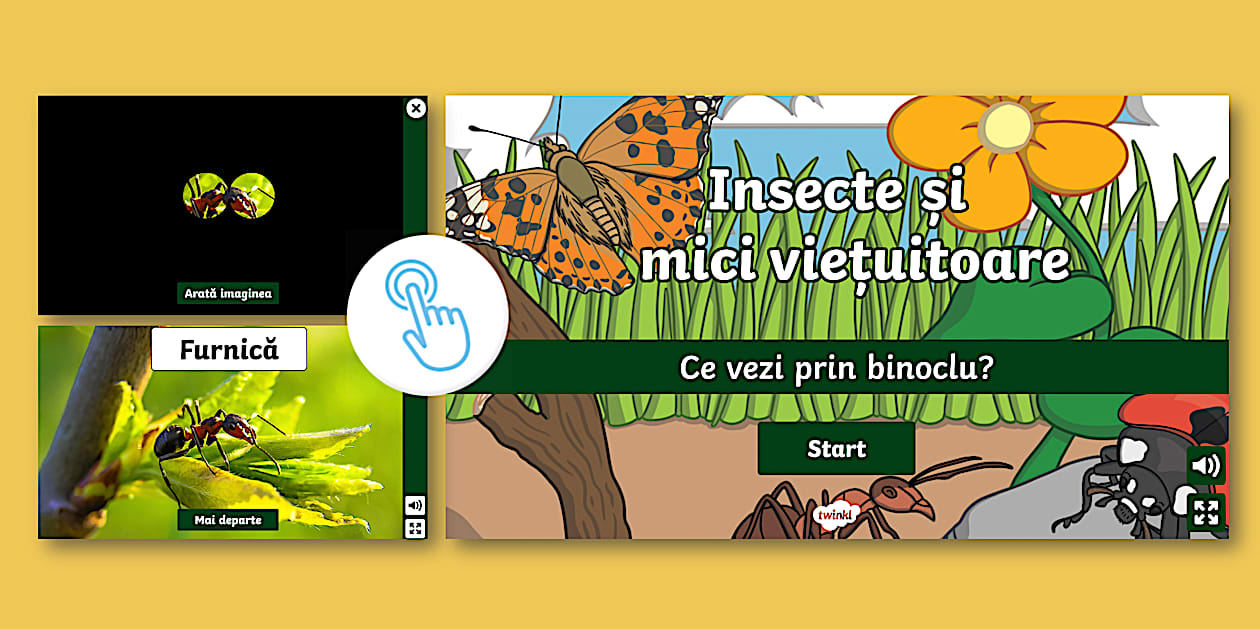 Insecte și mici vietăți – Ce vezi prin binoclu? Joc online