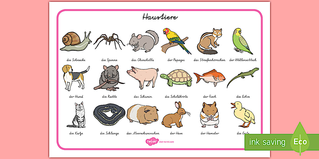 Haustiere Wortschatz: Querformat - EAL, German, Pets Word Mat