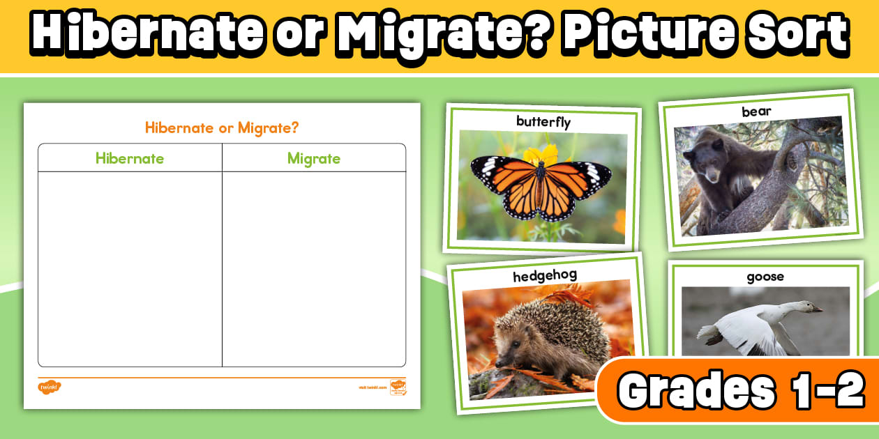 Hibernate or Migrate Picture Sort Activity for 1st-2nd Grade
