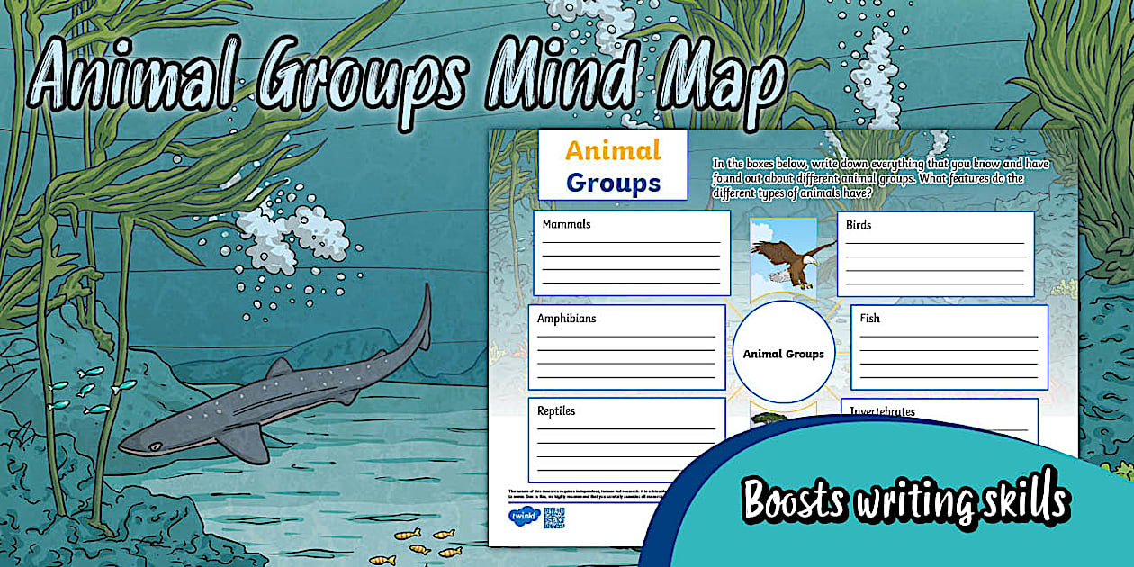 Animal Groups Mind Map
