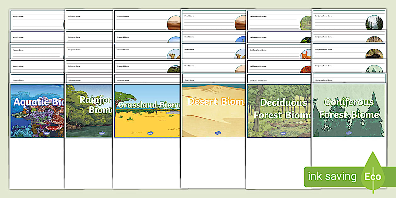 Biome Flipbooks Pack Ι World Climates Ι Twinkl - Twinkl