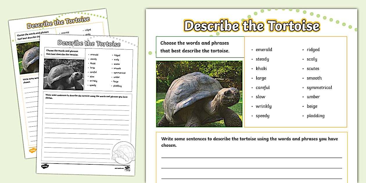 Describe the Tortoise Worksheet (teacher made) - Twinkl
