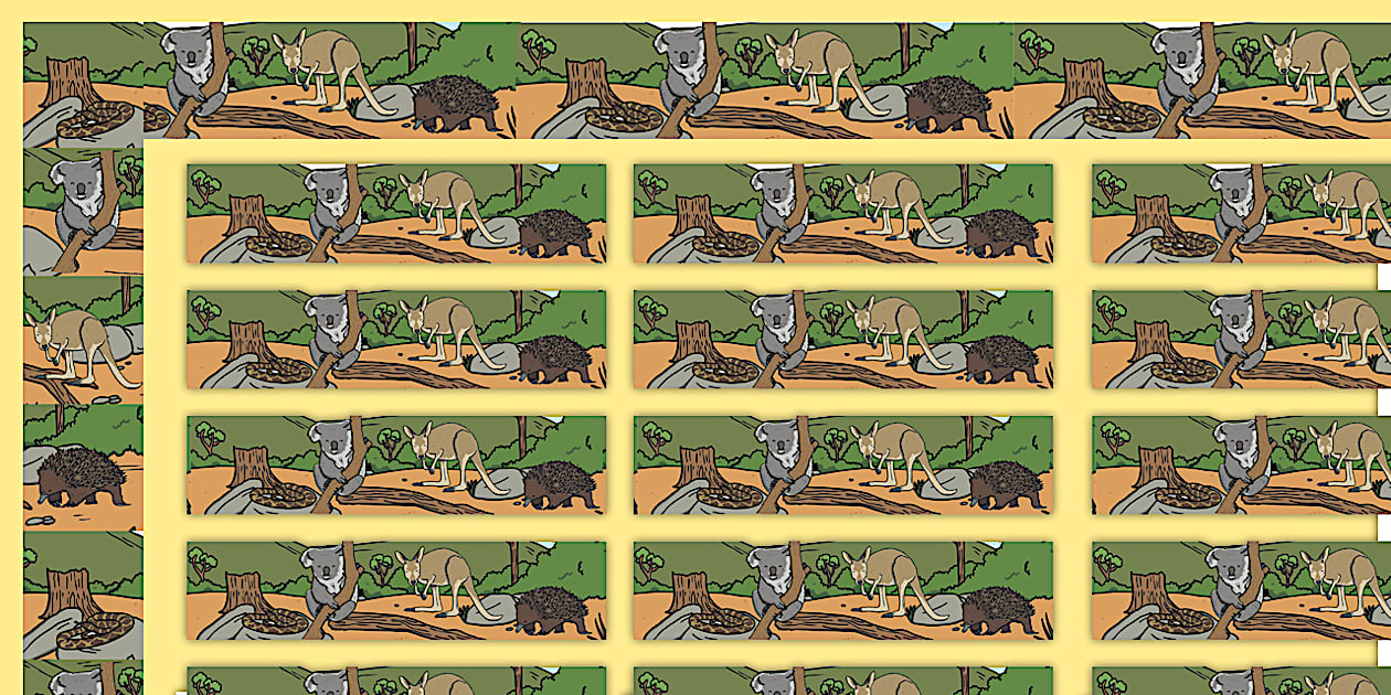 Australian Bush Display Borders (teacher made) - Twinkl