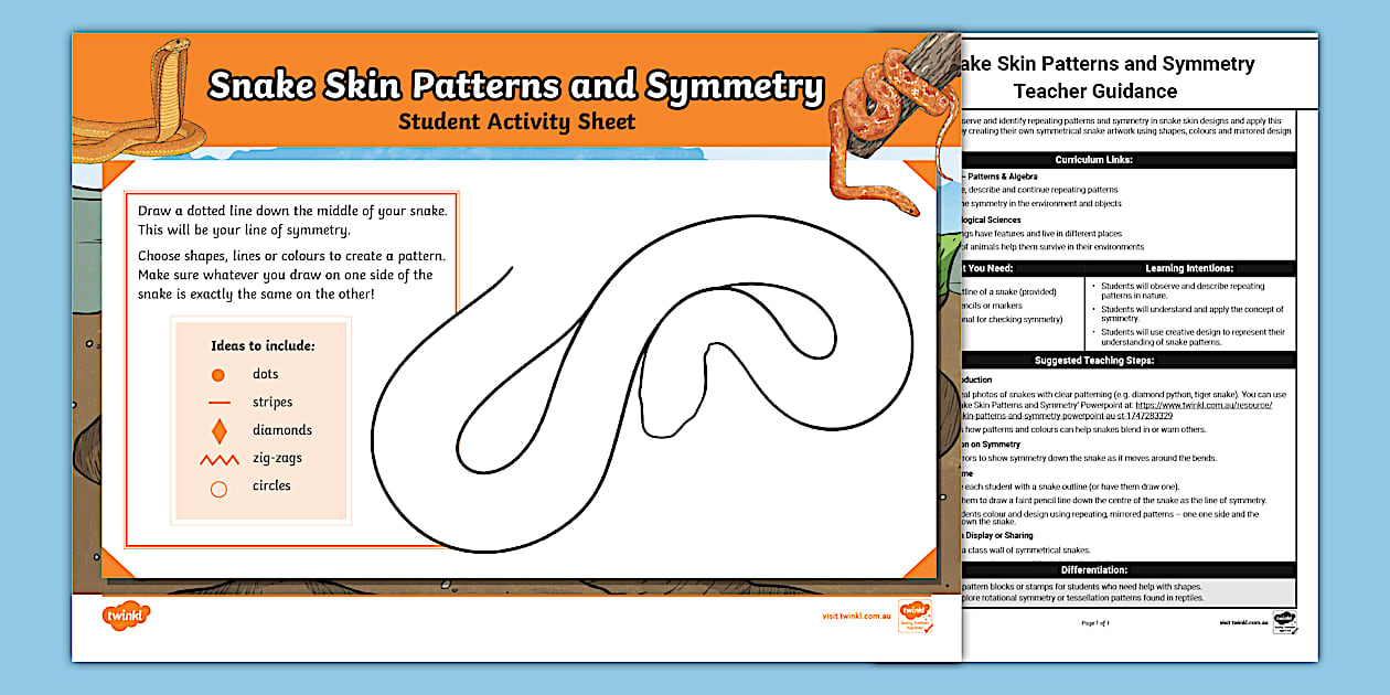 Snake Skin Patterns and Symmetry Design (teacher made)
